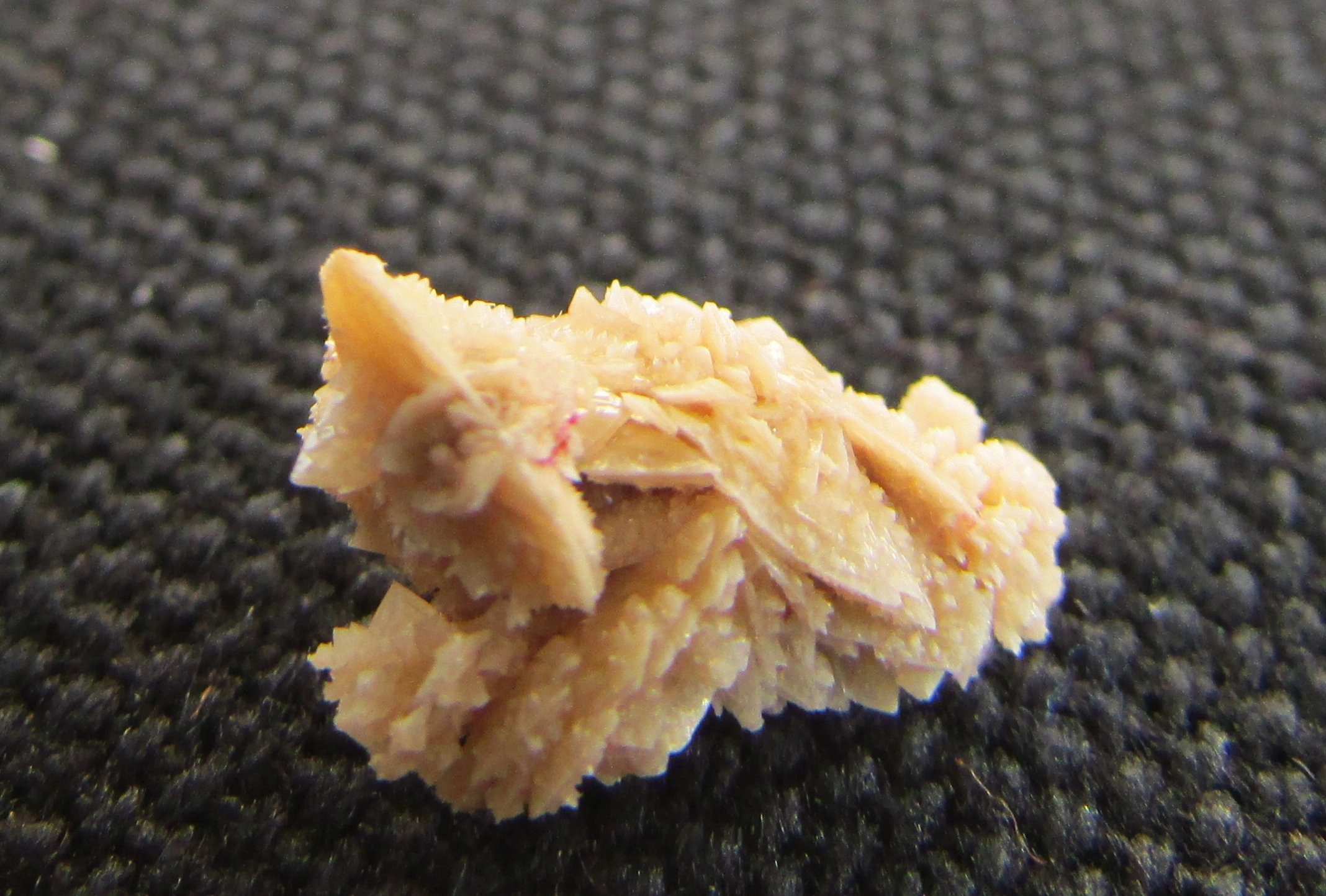 Types of Kidney Stones – North Austin Kidney Stone Specialists